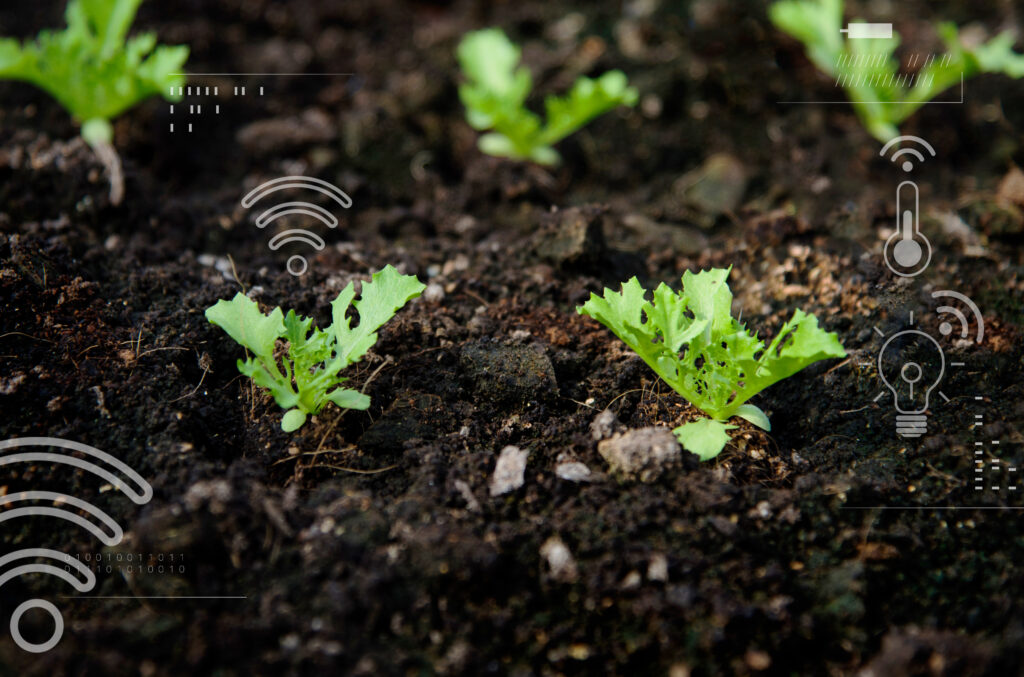 NAMAA Pro | Smart Farming Application | Namaa