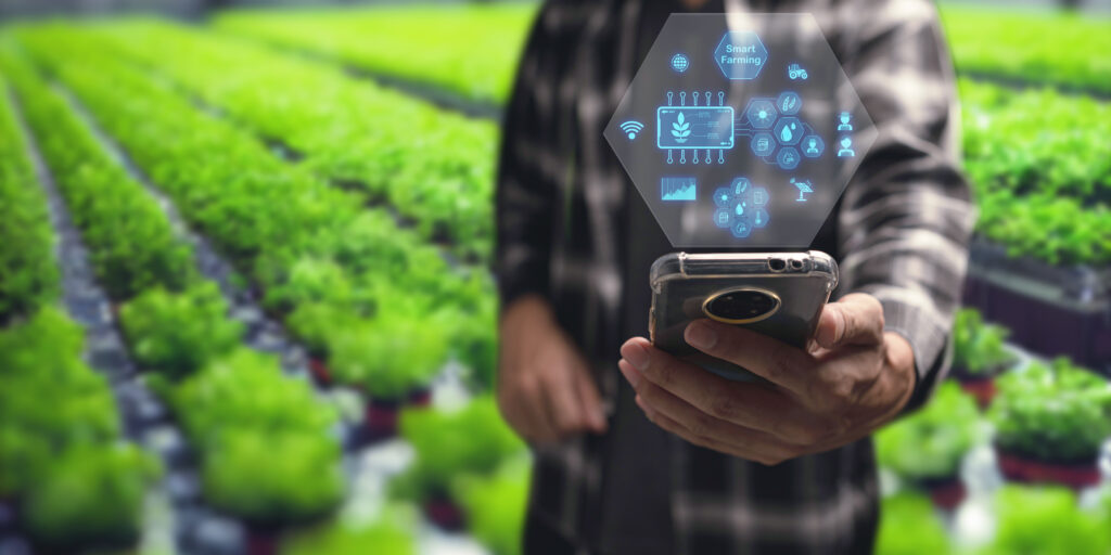 Farming and Agriculture | Namaa