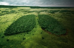 Home | Namaa Smart Agriculture Solution