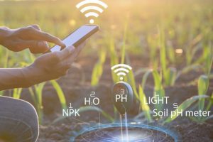 Farming and Agriculture | Namaa